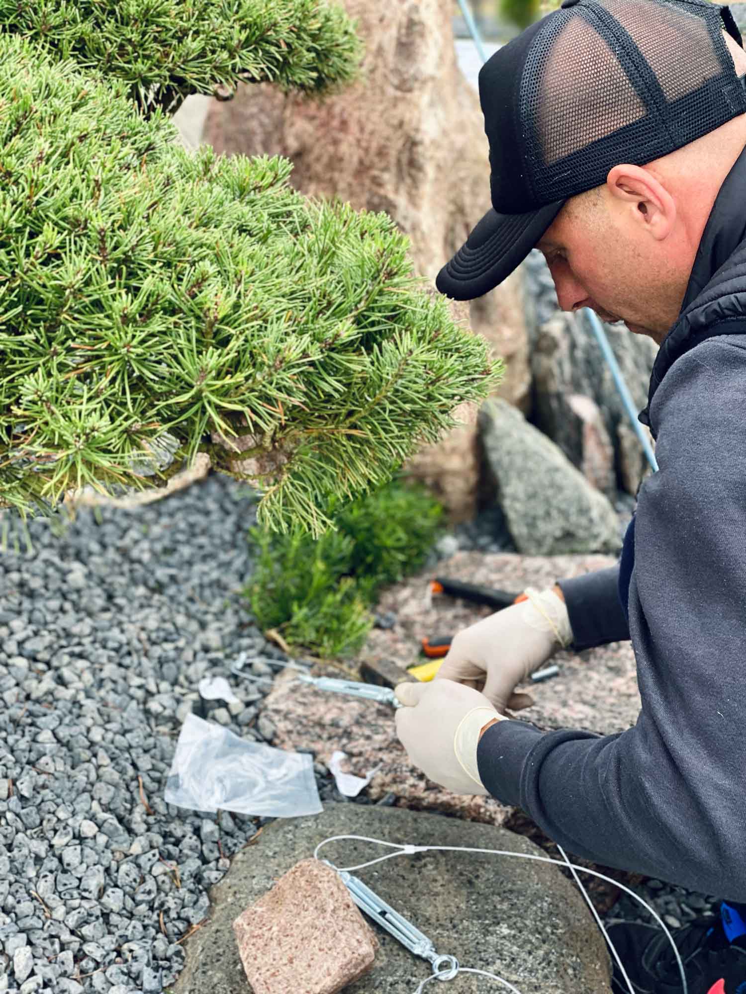 Niwaki Tree Care & Clean – Prestige Garden Studio