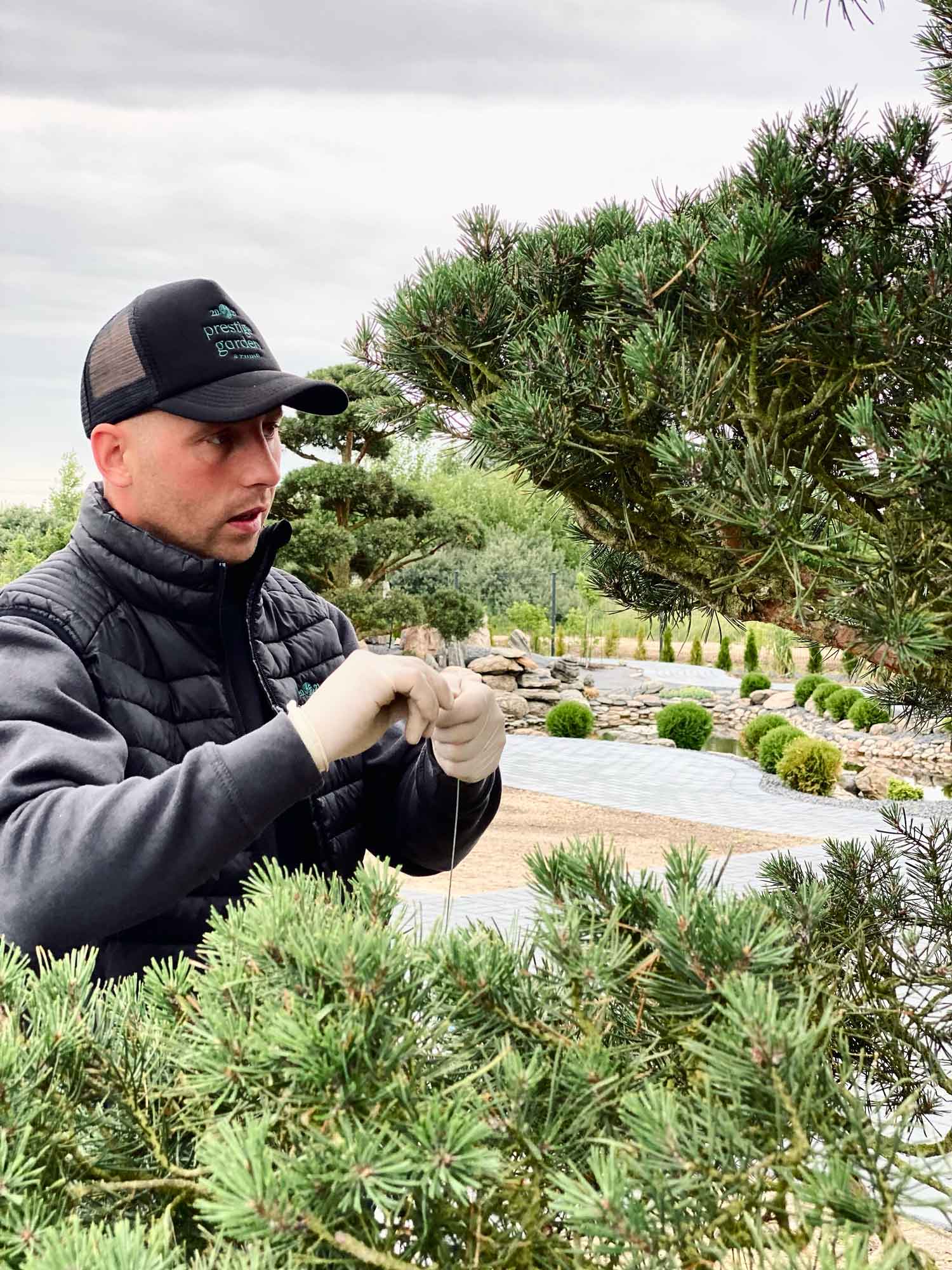 Prestige Complete Garden Care – Prestige Garden Studio